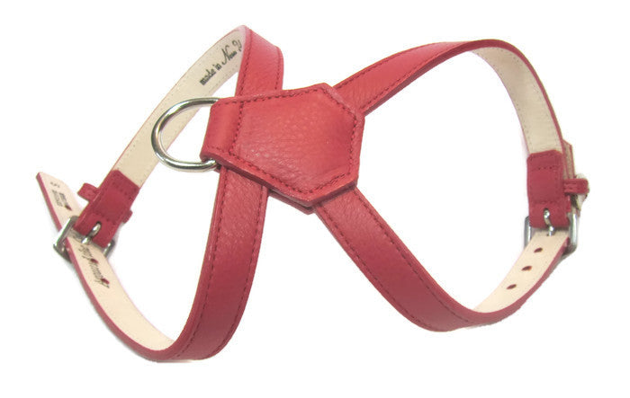 Red_K_Harness-Open_1200x1200.jpg?v=1723729721